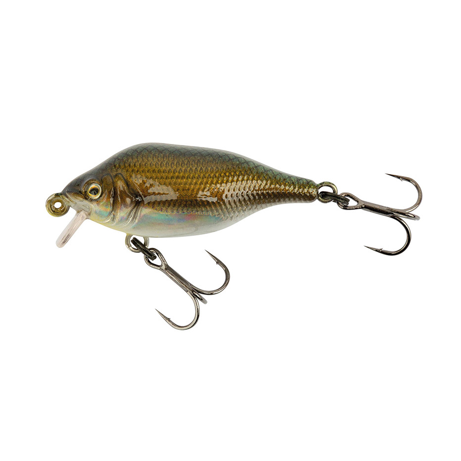 Poisson Nageur Fox Rage Funk Bug SR 4cm - Leurre de la pêche
