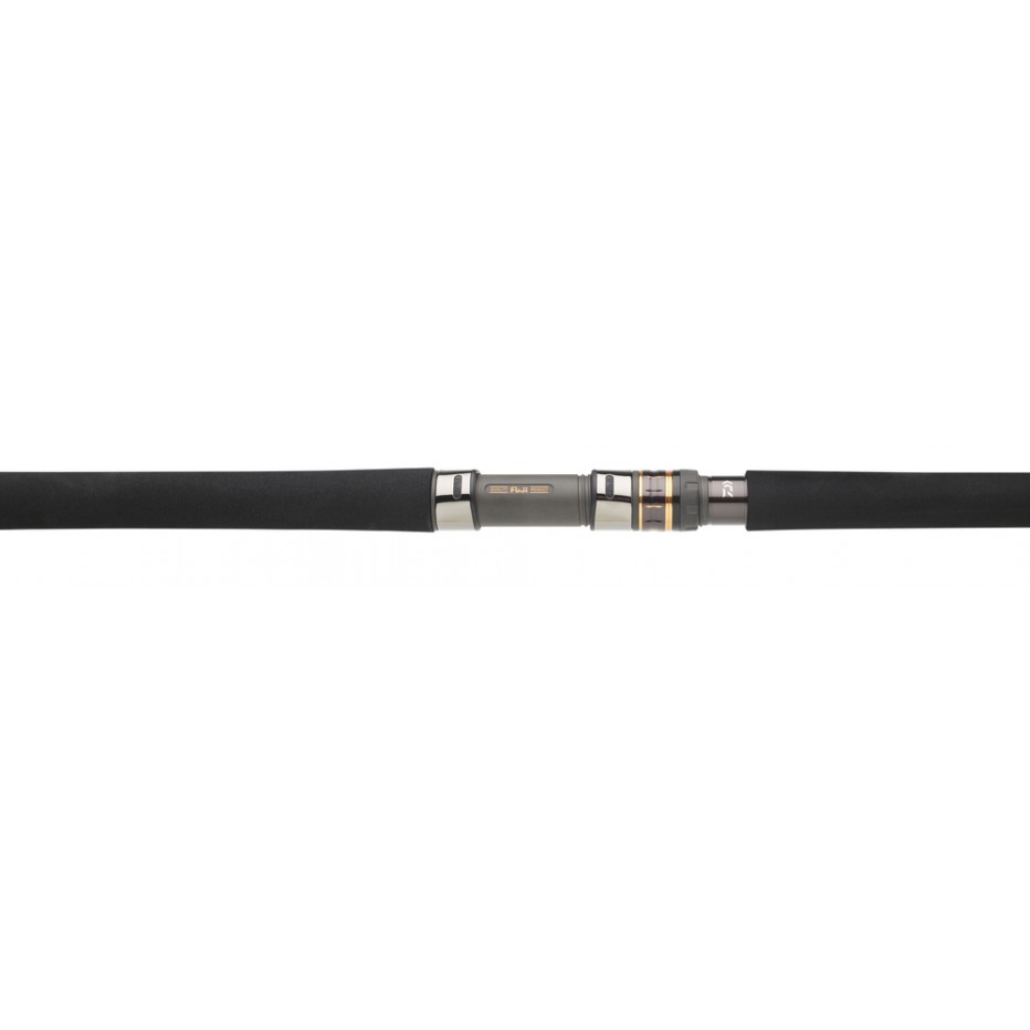 Spinning Rod Daiwa Saltiga Hiramasa 58 HS - Leurre de la pêche