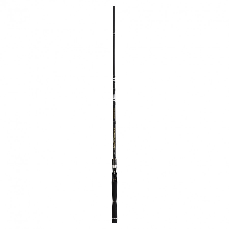 Casting Rod Illex Night Shadows B 200 MH FG Fightback - Leurre de la pêche