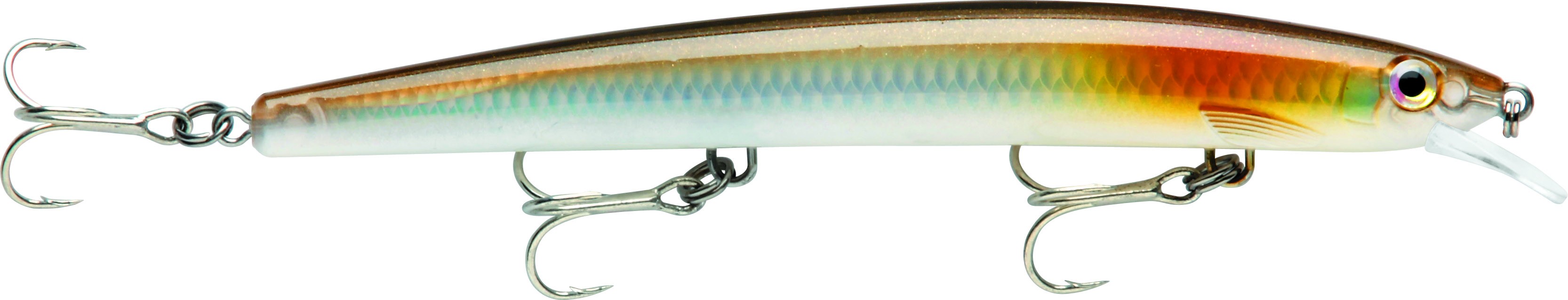 Hard bait Rapala MaxRap 13cm - Sea bass fishing - Leurre de la pêche