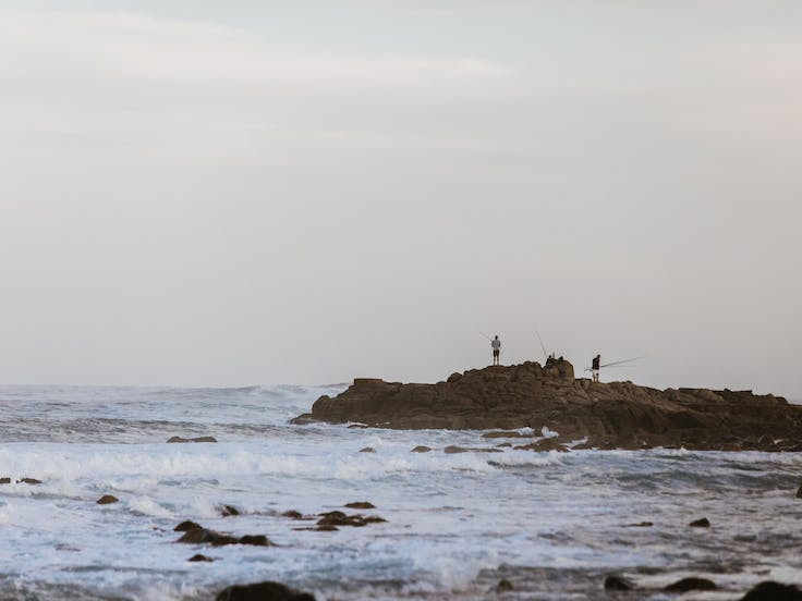 Cuándo practicar la pesca de roca: todo lo que debe saber sobre las ...
